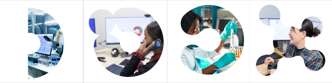 Cairo Diagnostics Website Revamping | Designframe