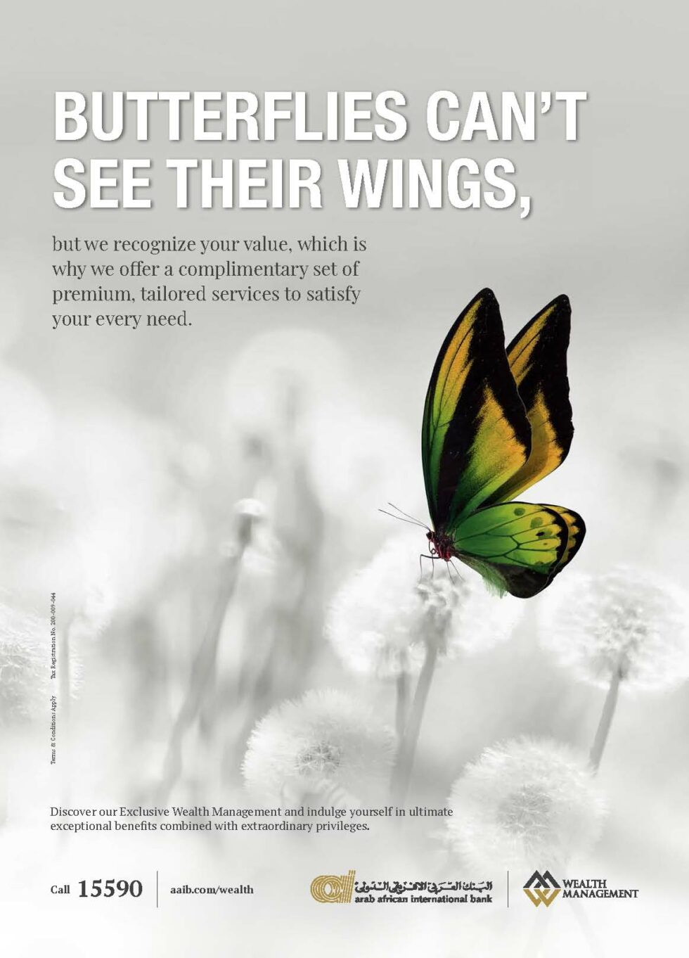 AAIB Wealth Management Segment Marketing Ads | Designframe