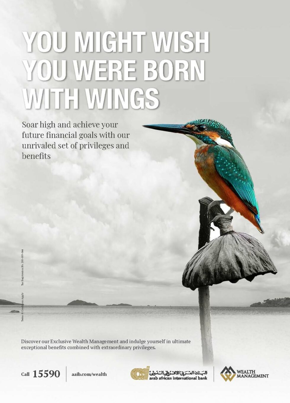 AAIB Wealth Management Segment Marketing Ads | Designframe